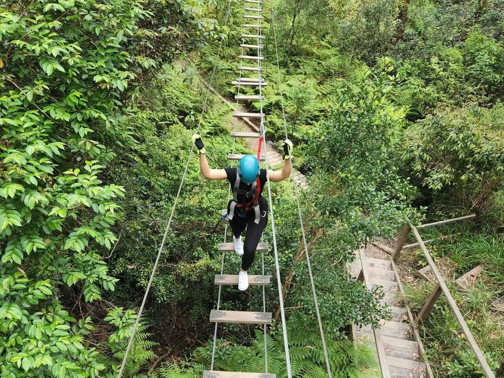 TreeTop Challenge - Mt Tamborine | Experience Gold Coast