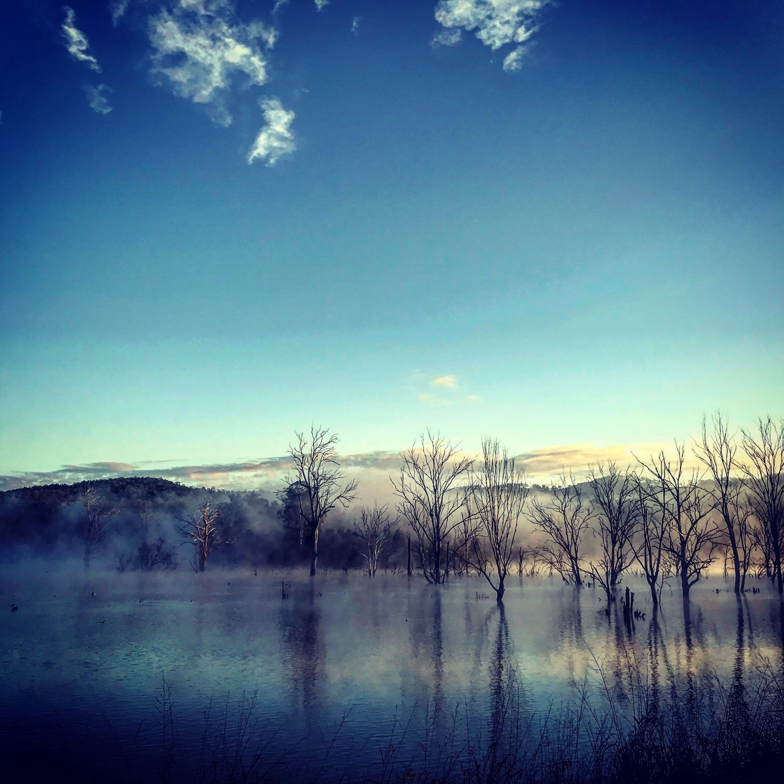 Scenic Rim Ultra | Experience Gold Coast