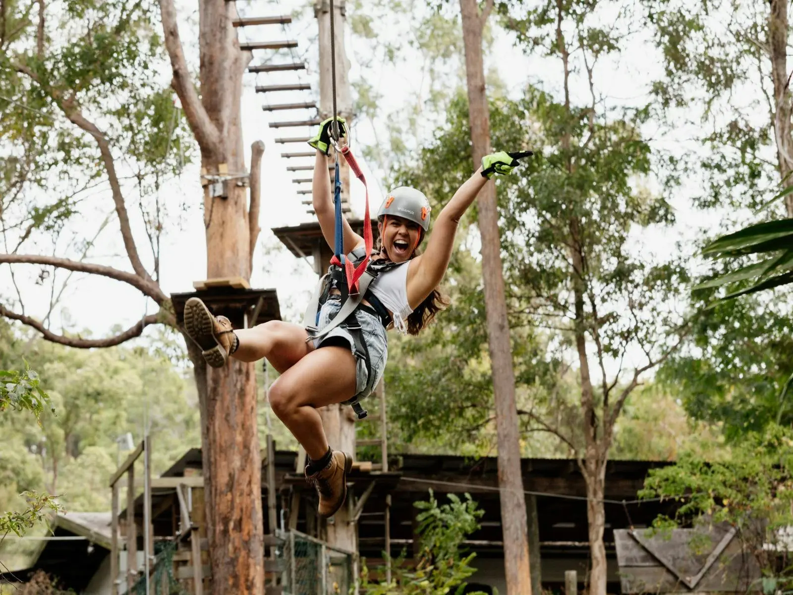 TreeTop Challenge - Tamborine Mountain | Experience Gold Coast