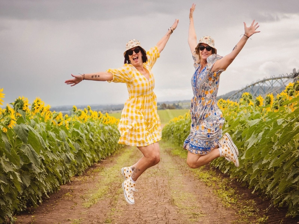 Sunflower Farm Gold Coast | Best Flower Site