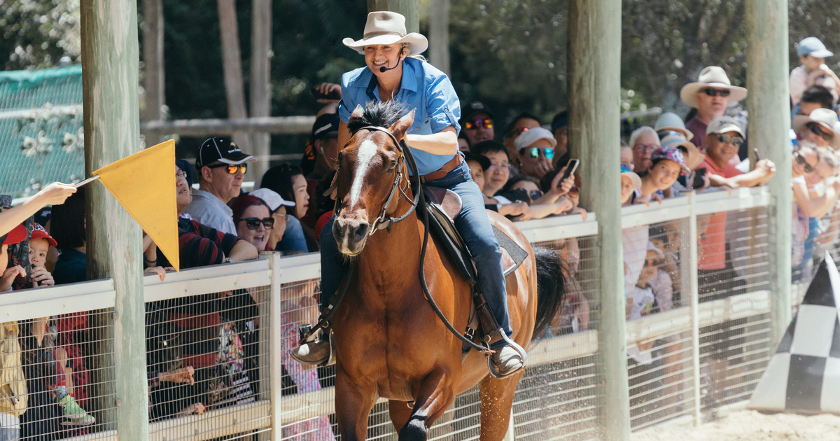 7 Cowboy Experiences Bringing Country to the Coast | Experience Gold Coast