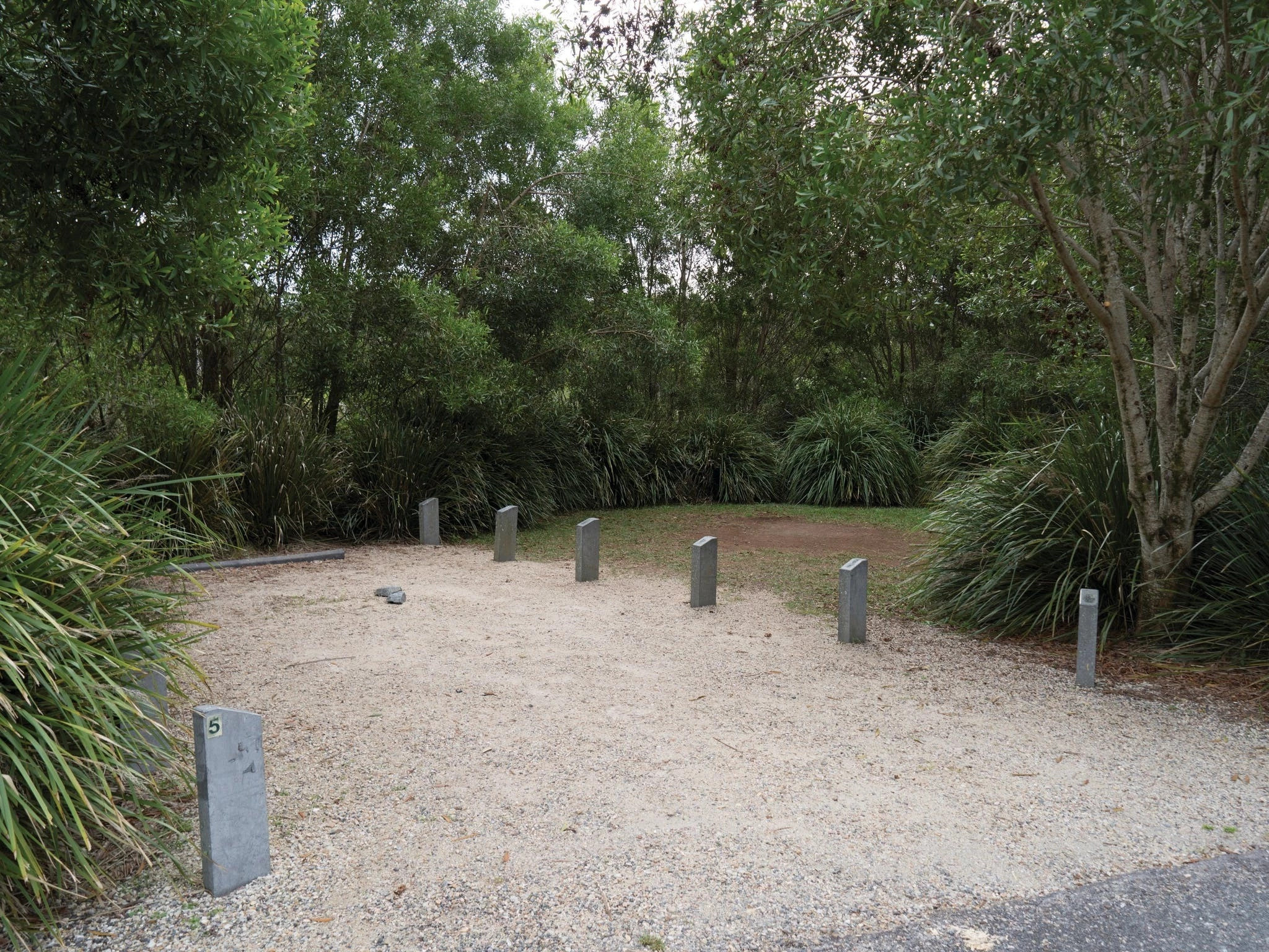 Springbrook National Park camping | Experience Gold Coast