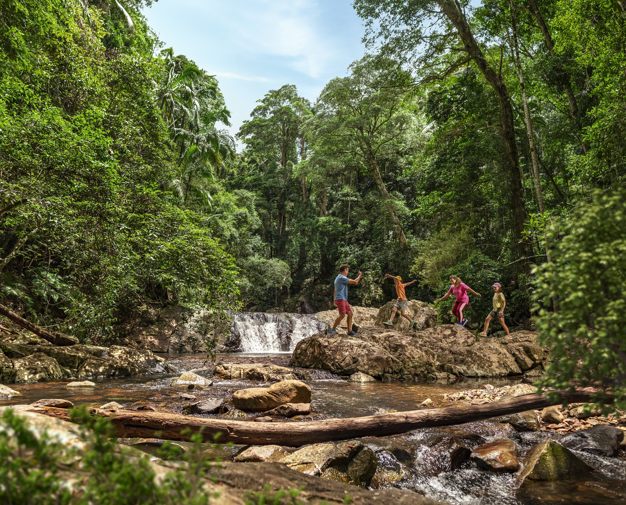 Explore Gold Coast's Natural Wonders & Wild Waves | Experience Gold Coast
