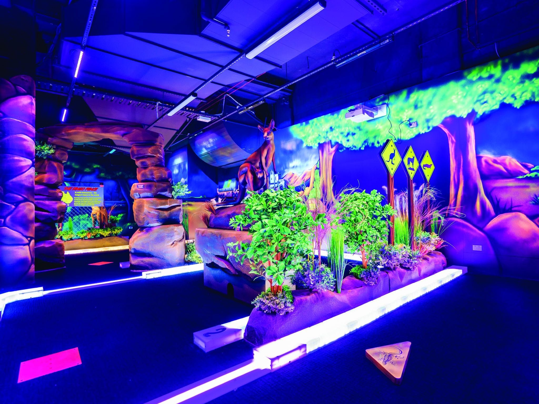 Timezone Surfers Paradise | Destination Gold Coast