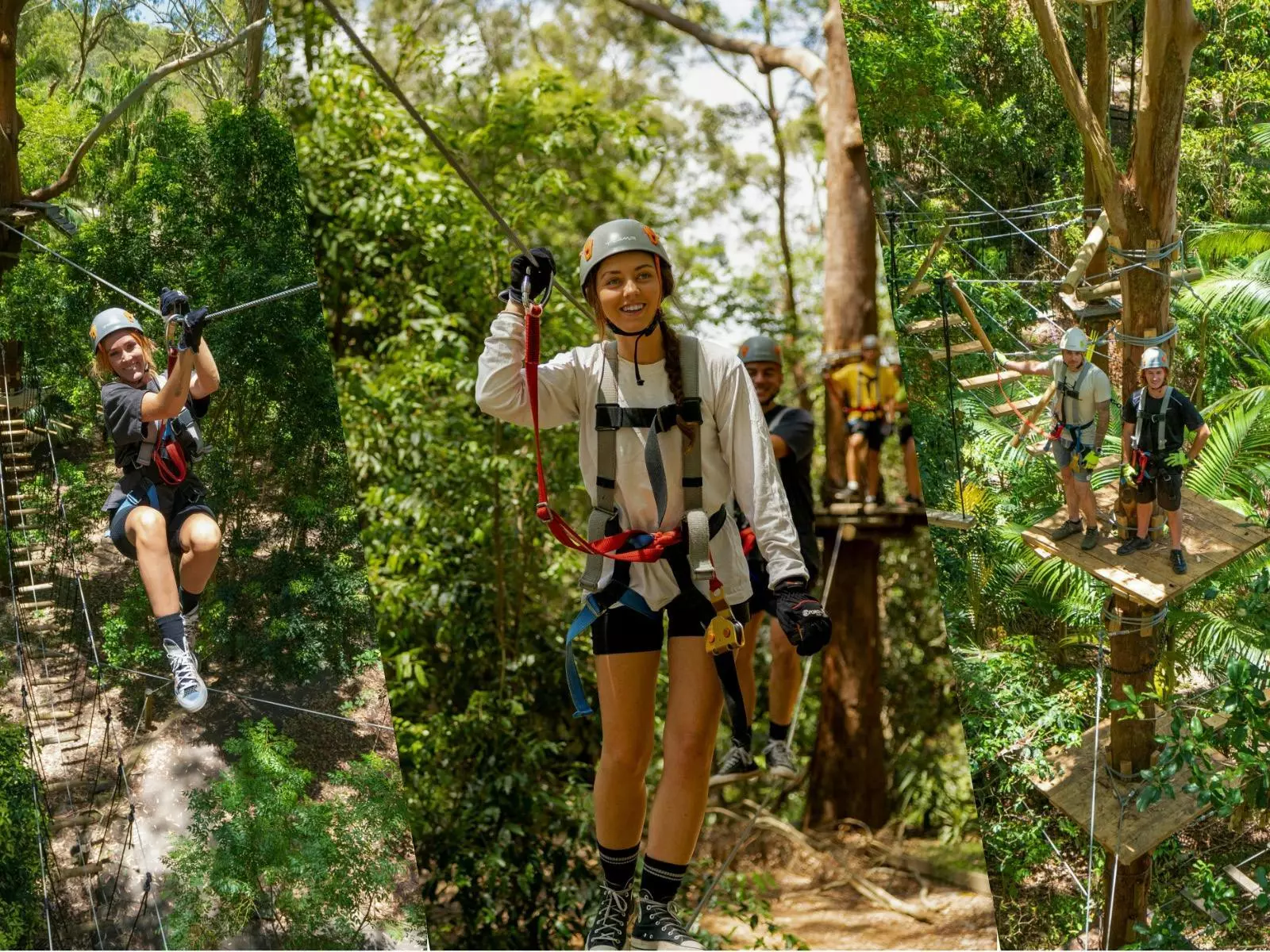 TreeTop Challenge Currumbin Wildlife Sanctuary | Experience Gold Coast