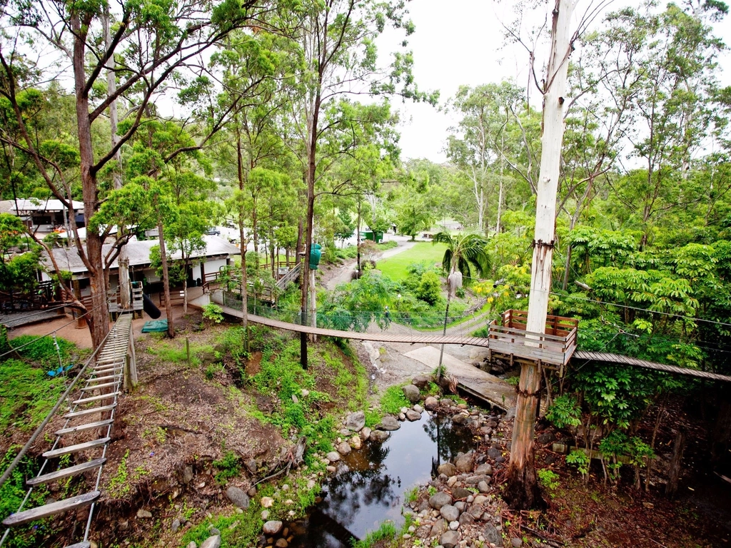 TreeTop Challenge - Mt Tamborine | Experience Gold Coast
