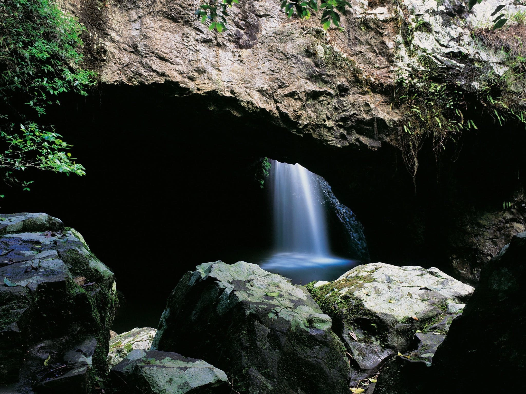 Natural Bridge Circuit, Springbrook National Park | Experience Gold Coast
