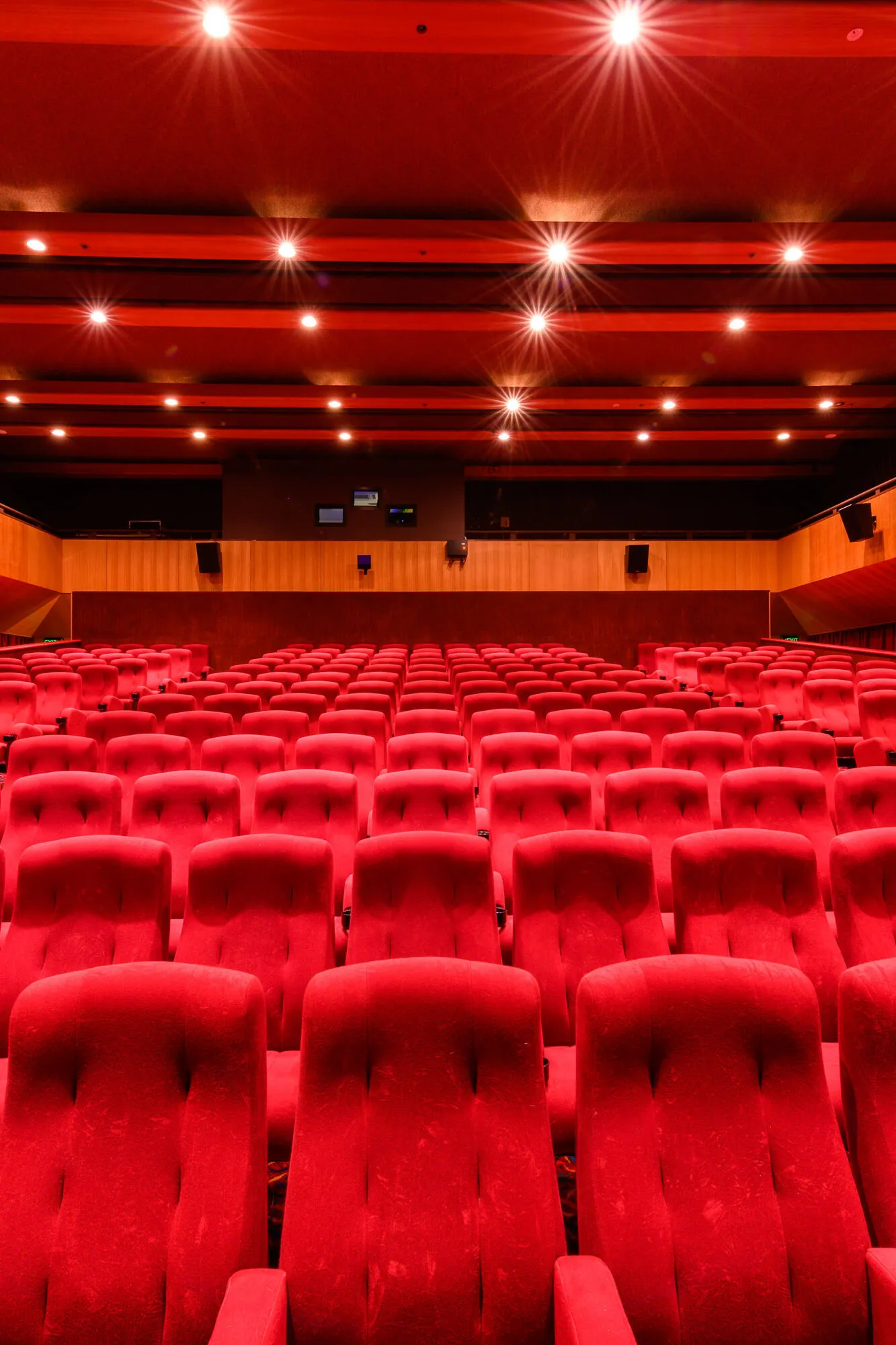 Movie Review Club | Experience Gold Coast