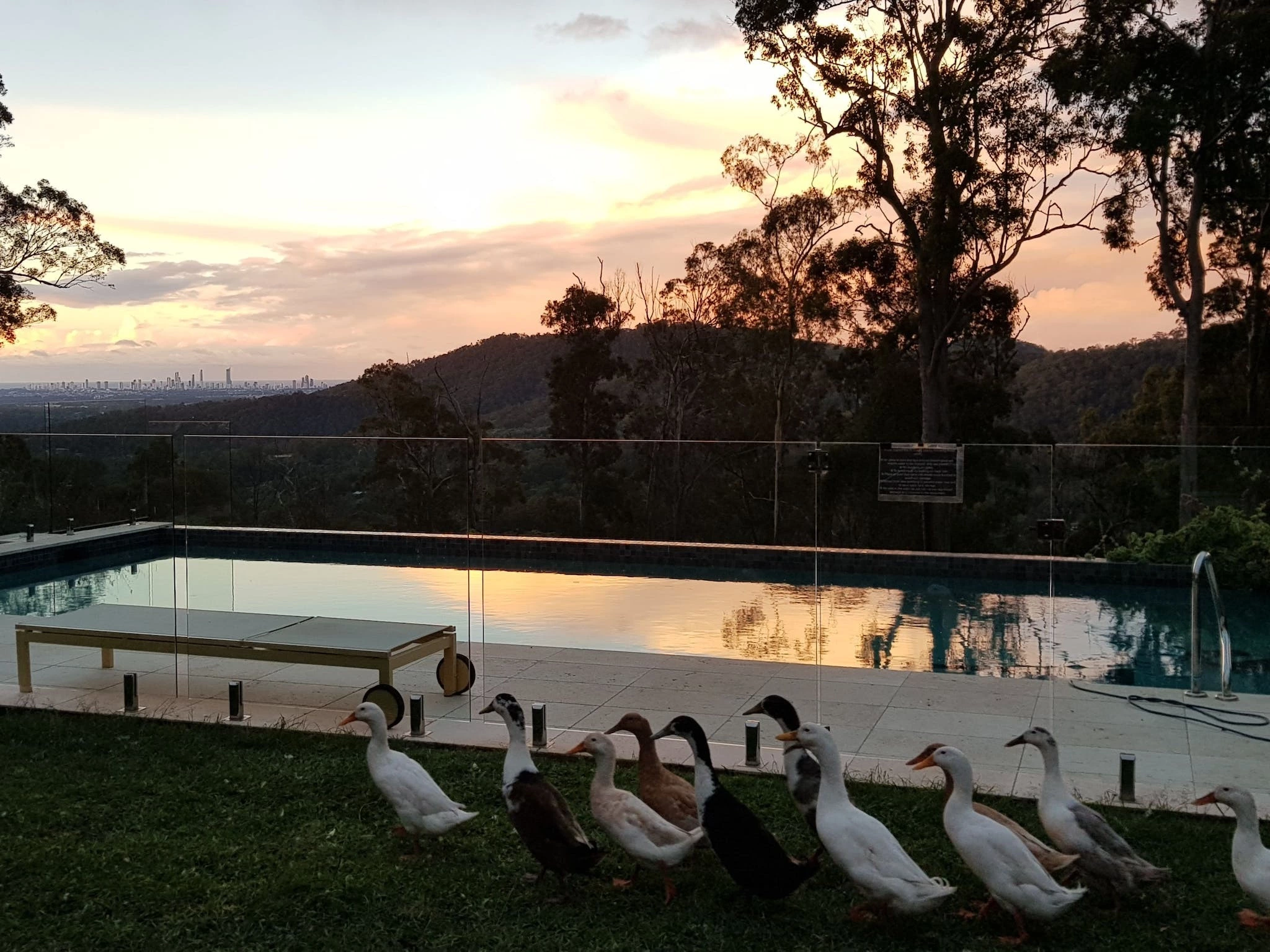 Gold Coast Tree Houses | Experience Gold Coast